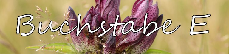 Unsere einheimischen Pflanzen von A bis Z – Blumen und Natur