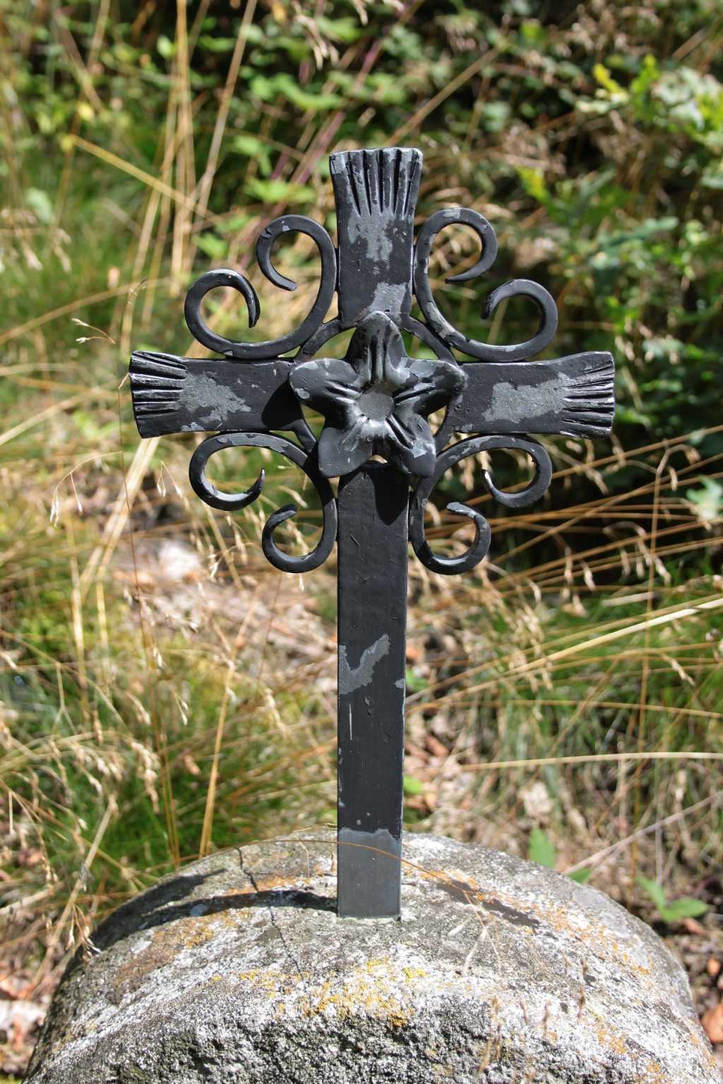 Wanderung zum Moosbacher Pfahl – Blumen und Natur