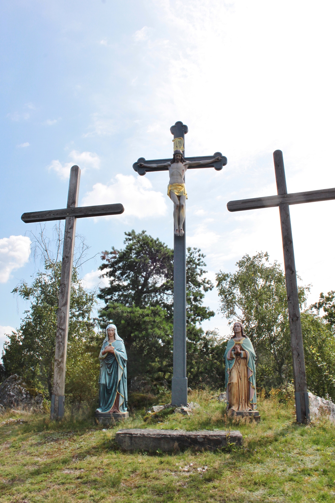 Wanderung zum Moosbacher Pfahl – Blumen und Natur